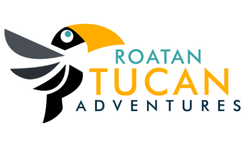 #ROATAN TUCAN - Roatan Tucan Aventures
