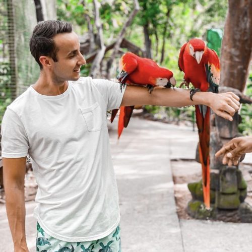 Sloth & Monkey Park, Rum & Chocolate + West Bay Beach - Roatan Tucan ...