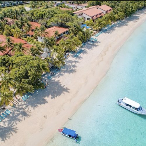 Sloth & Monkey Park, Rum & Chocolate + West Bay Beach - Roatan Tucan ...