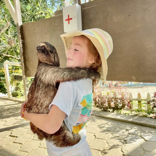 Sloth & Monkey Park, Rum & Chocolate + West Bay Beach - Roatan Tucan ...